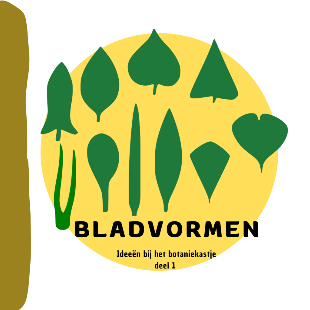 Bladvormen algemeen