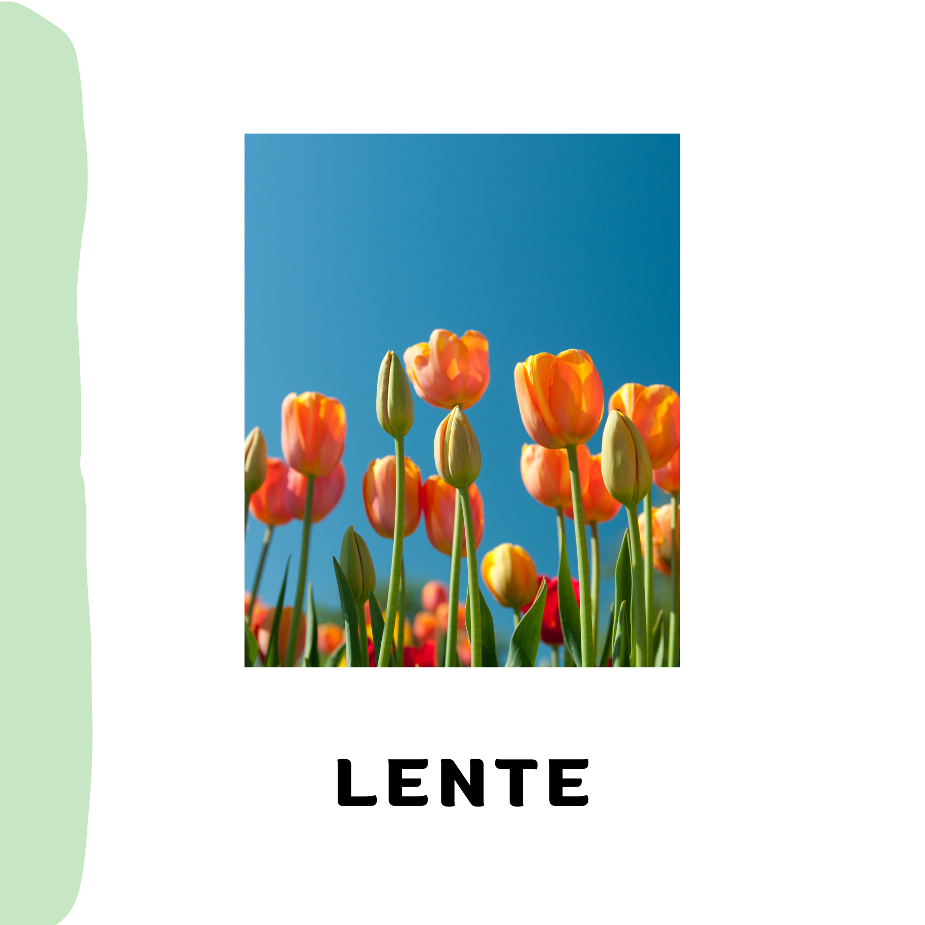 Thema lente Montessori – Monteshoppie